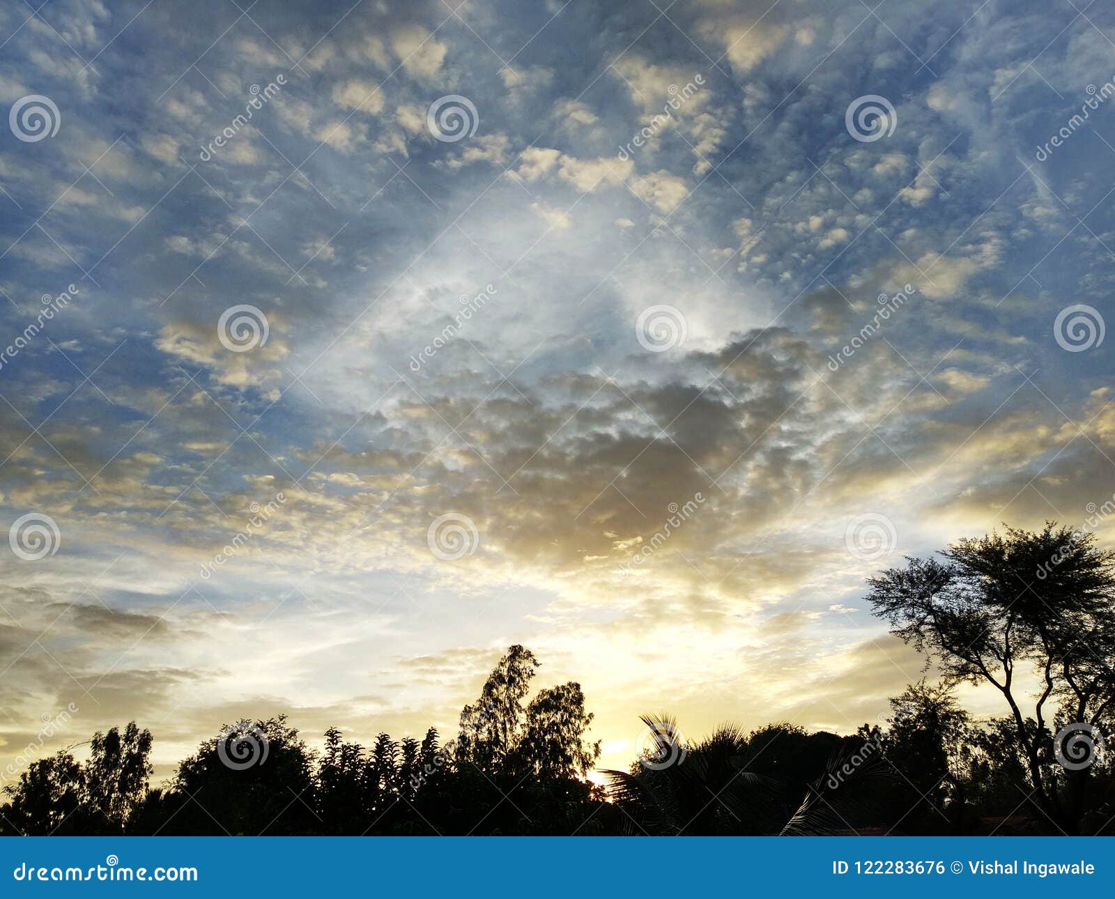 Cloud trees stock photo. Image of tree, sunset, trees - 122283676