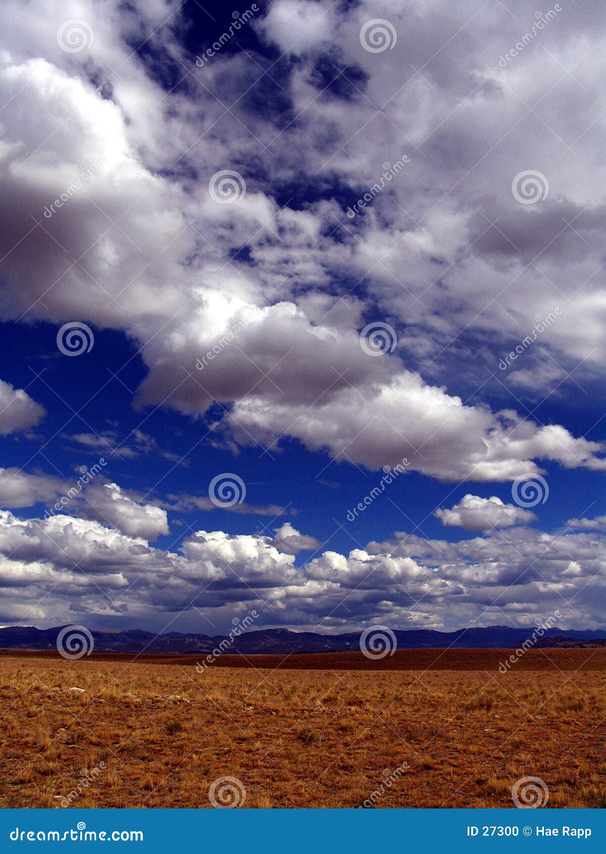 Cloud vertical stock photo. Image of space, colorado, nature - 27300