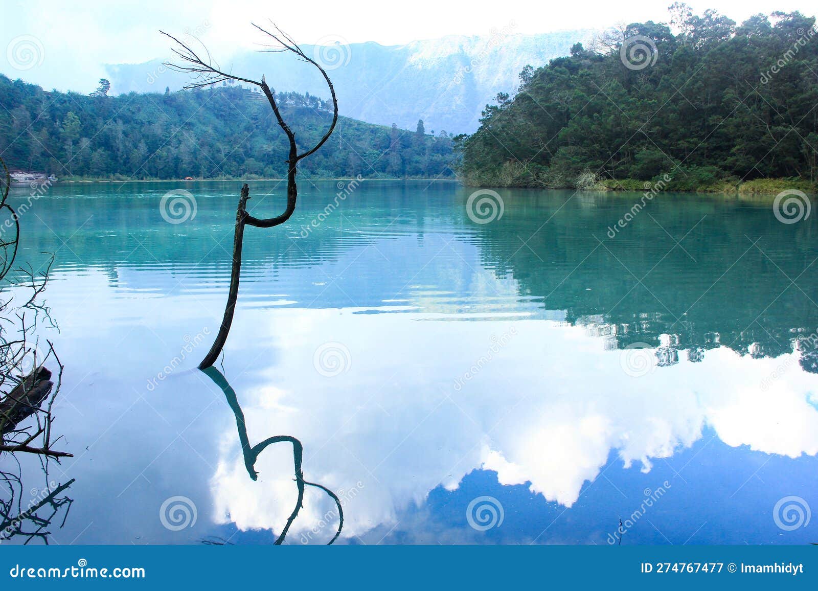 Cloud View Reflection of Color Lake with Tree Branches. Lake in the ...