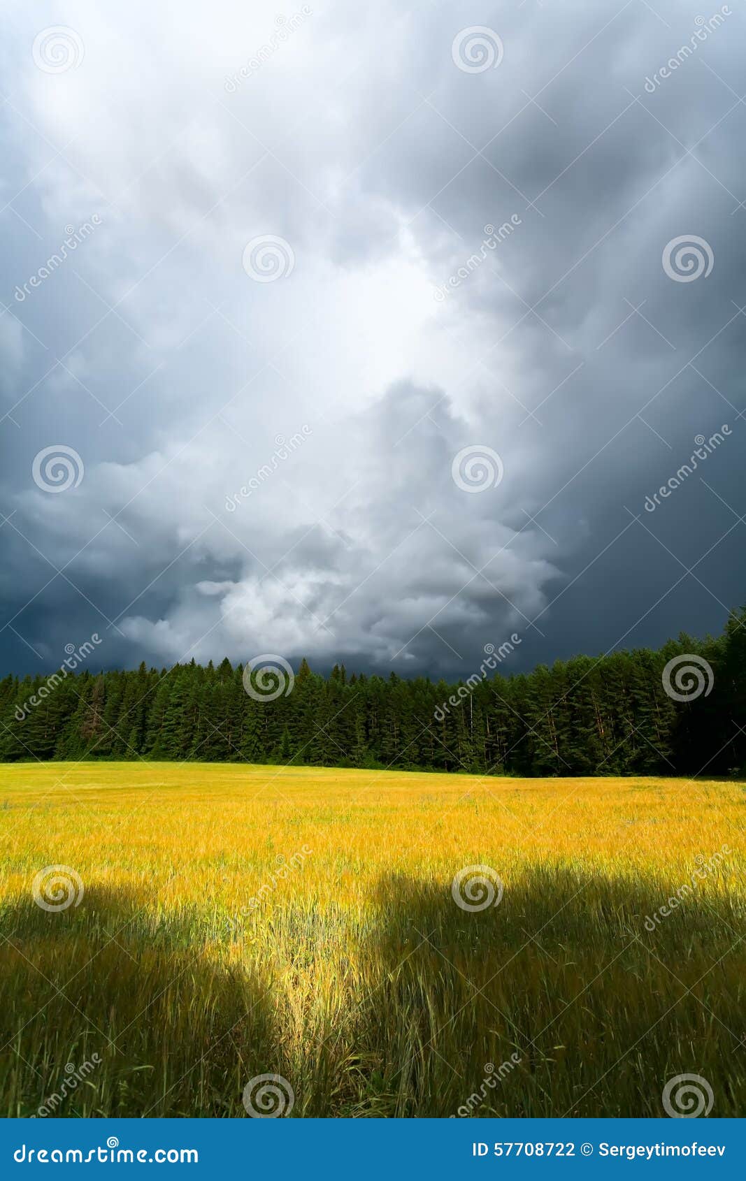 Cloud, wood, meadow stock photo. Image of dirt, landscape - 57708722