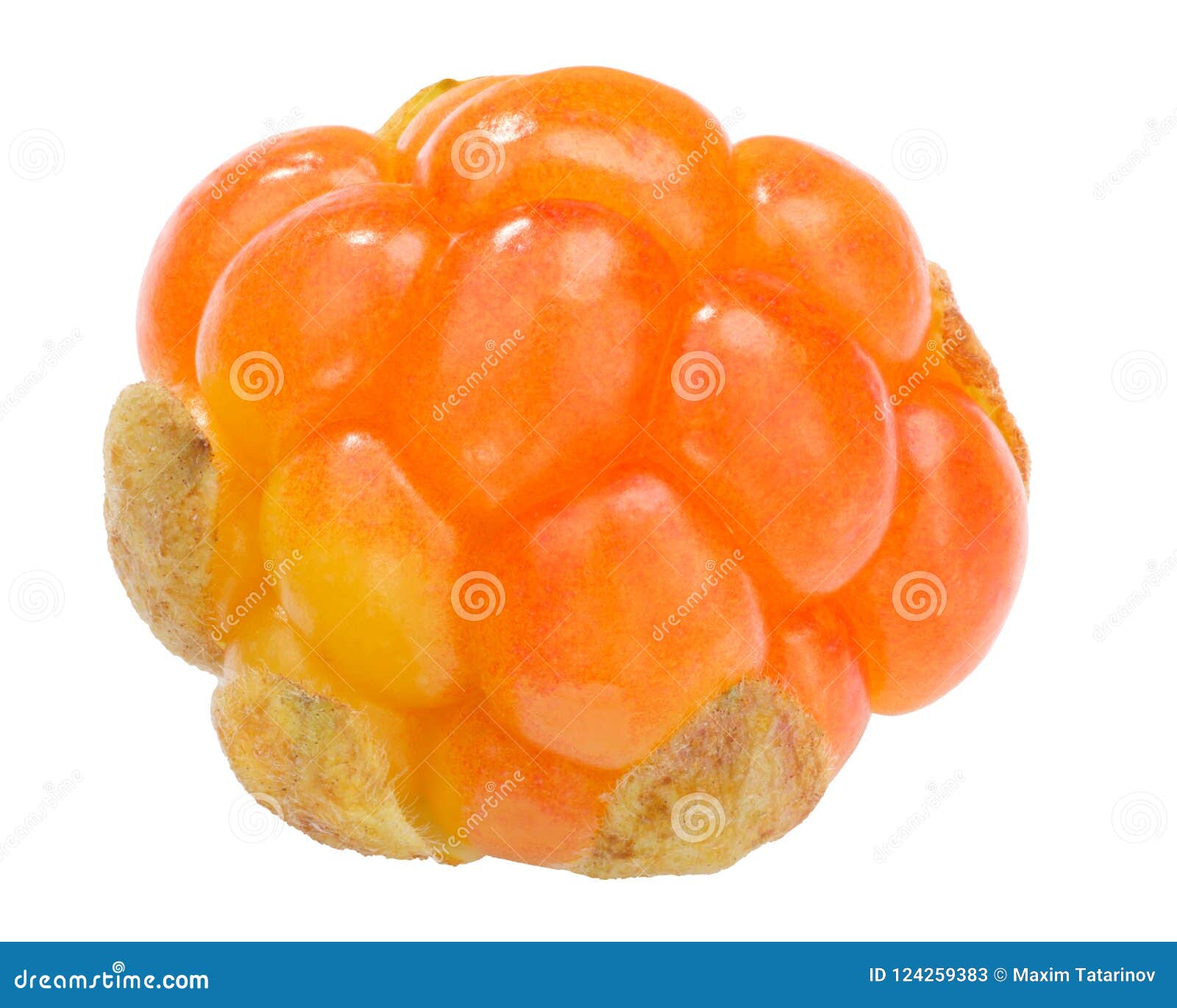 Cloudberry Rubus Chamaemorus, Paths Stock Image - Image of wild ...