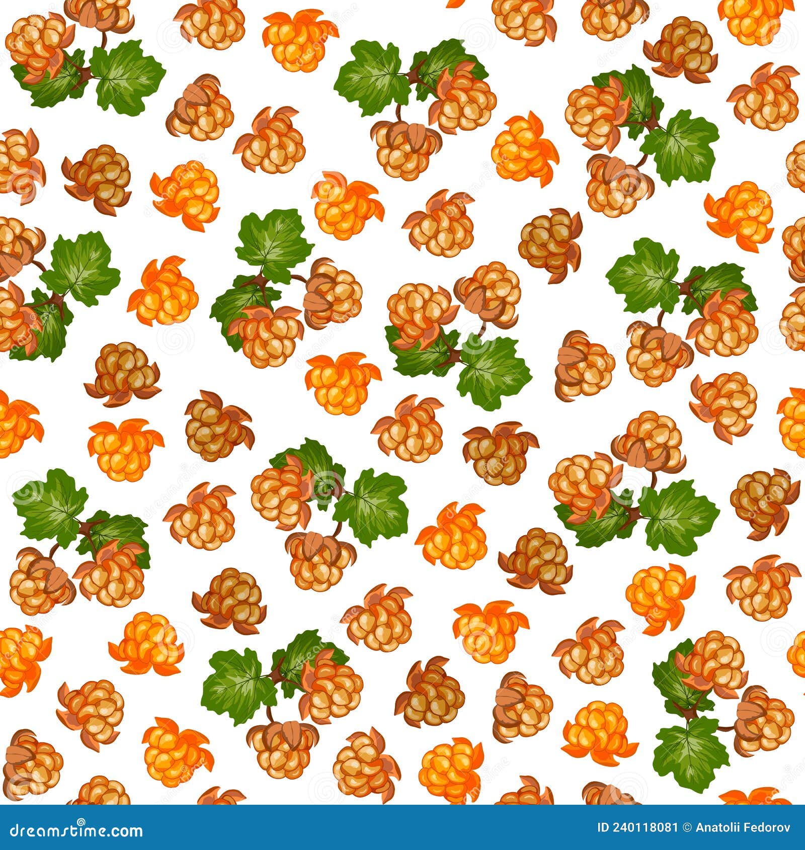 Cloudberry Vector Seamless Pattern. Stock Vector - Illustration of cherry, food: 240118081