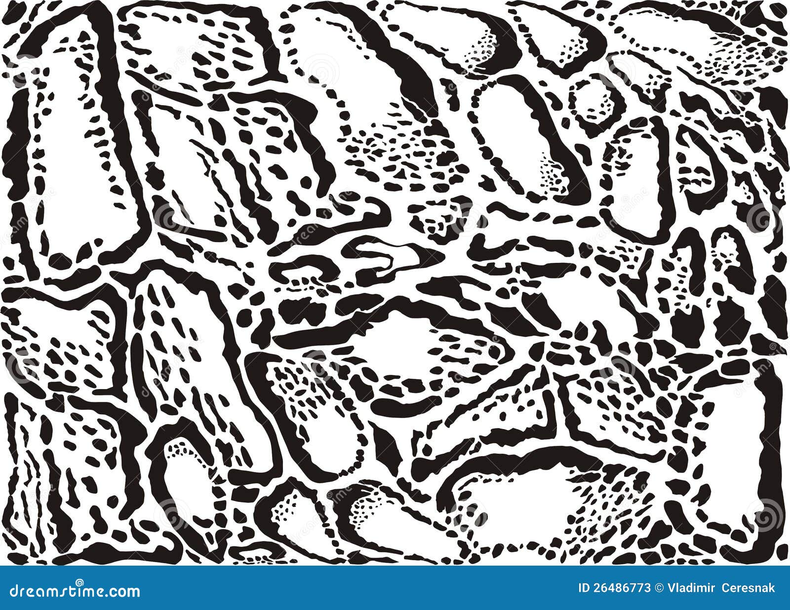 Clouded Leopard Baby Tabby Neofelis Nebulosa Wild Cat From Himalayan ...