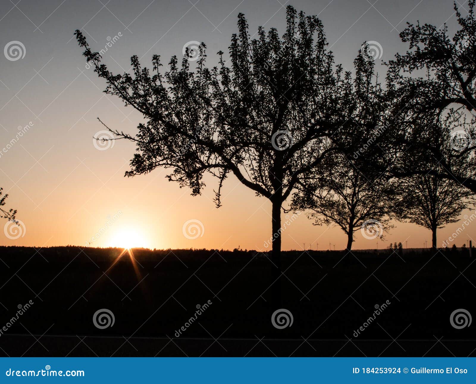 Cloudless Sunset Over the Wide Field with Trees Stock Photo - Image of ...