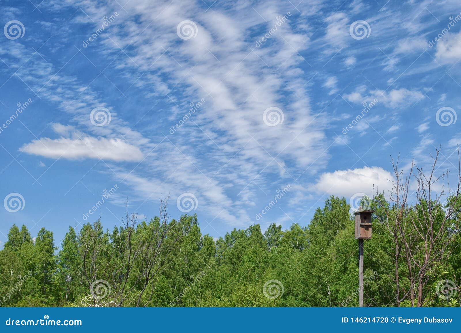 Clouds on the Blue Sky Over the Forest at Summer Stock Photo - Image of ...