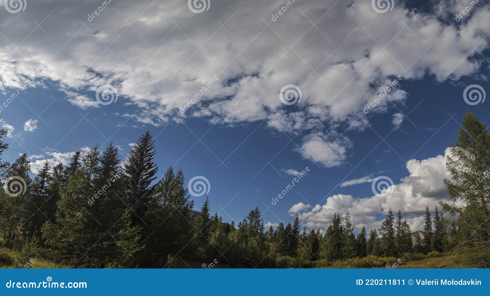 Clouds and Blue Sky Over the Forest Stock Image - Image of outdoor ...