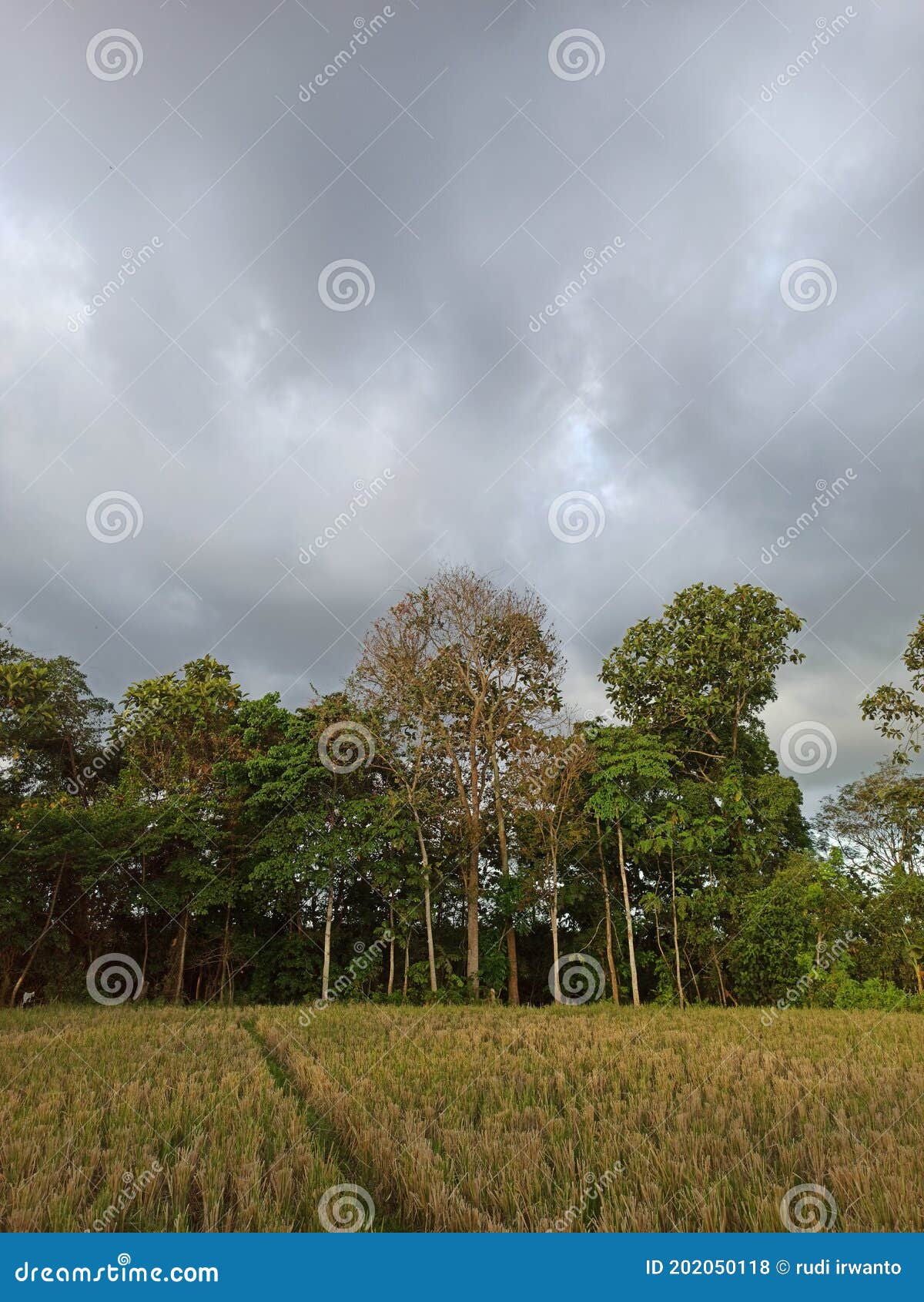 When the Clouds Come Over Me in the Afternoon Stock Photo - Image of ...