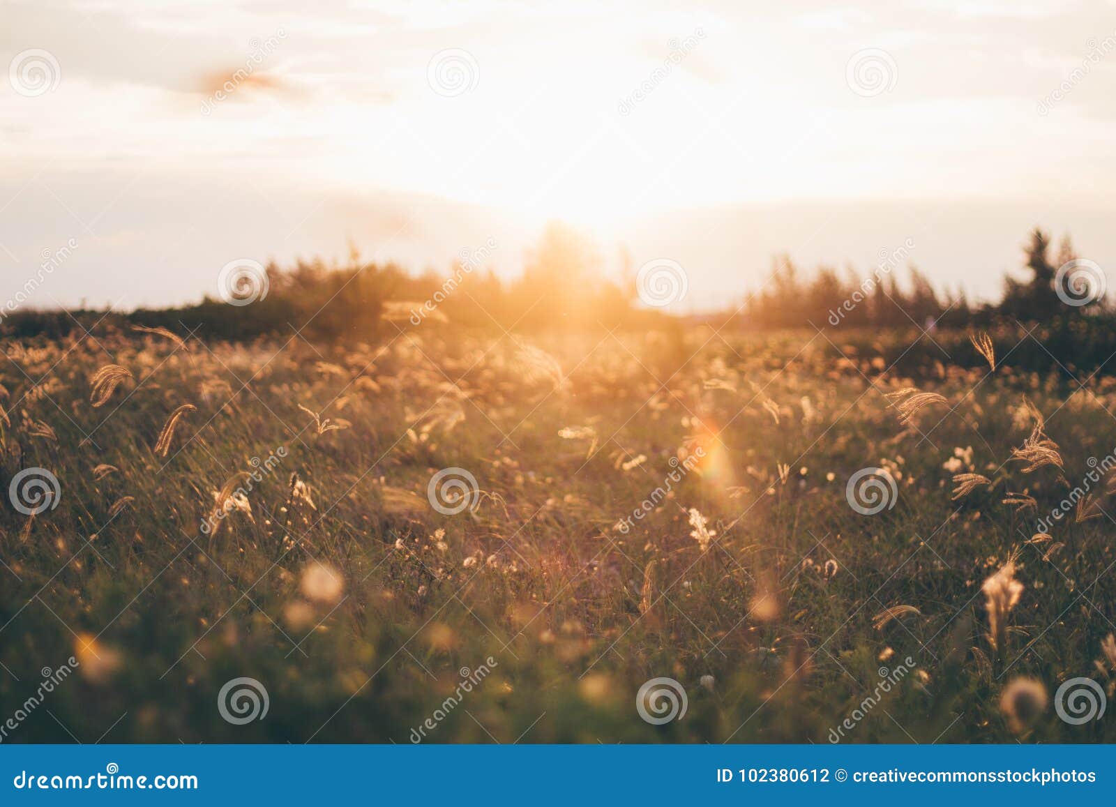 Clouds, Dawn, Daylight, Dusk Picture. Image: 102380612