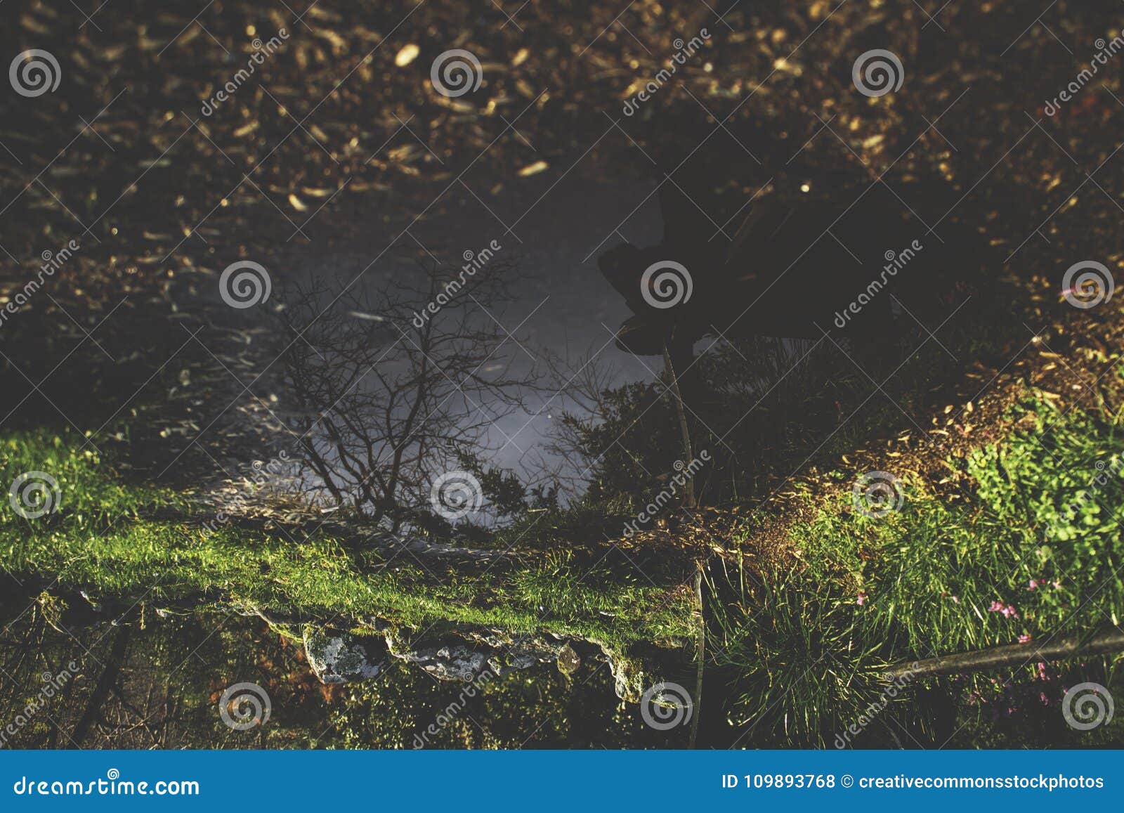 Clouds, Dawn, Environment Picture. Image: 109893768