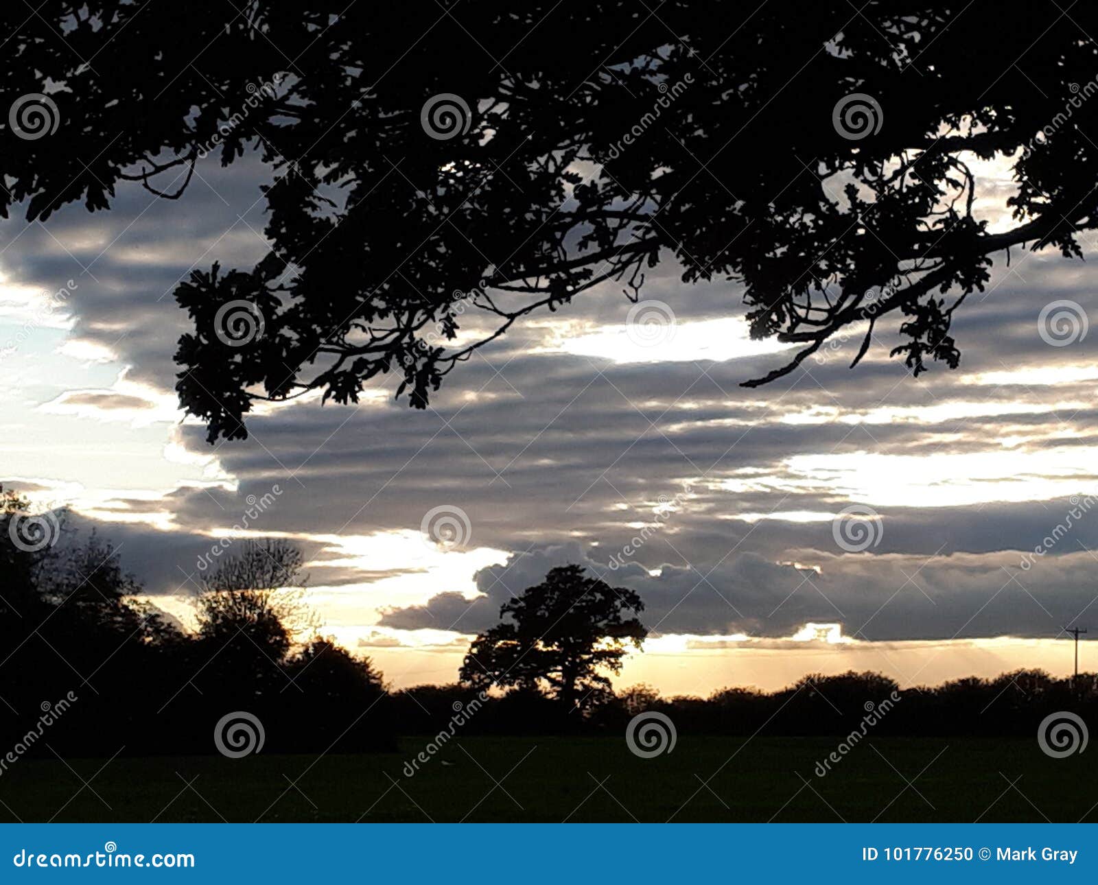 Countryside Dusk stock photo. Image of dusk, trees, dark - 101776250