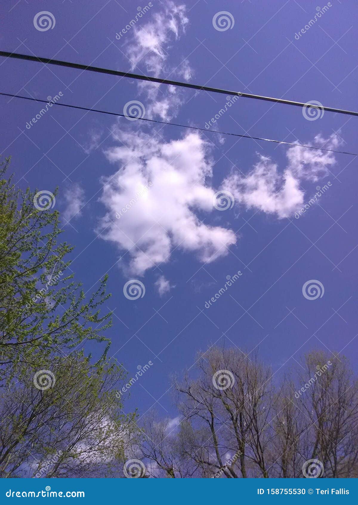 Clouds floating stock photo. Image of clouds, skies - 158755530