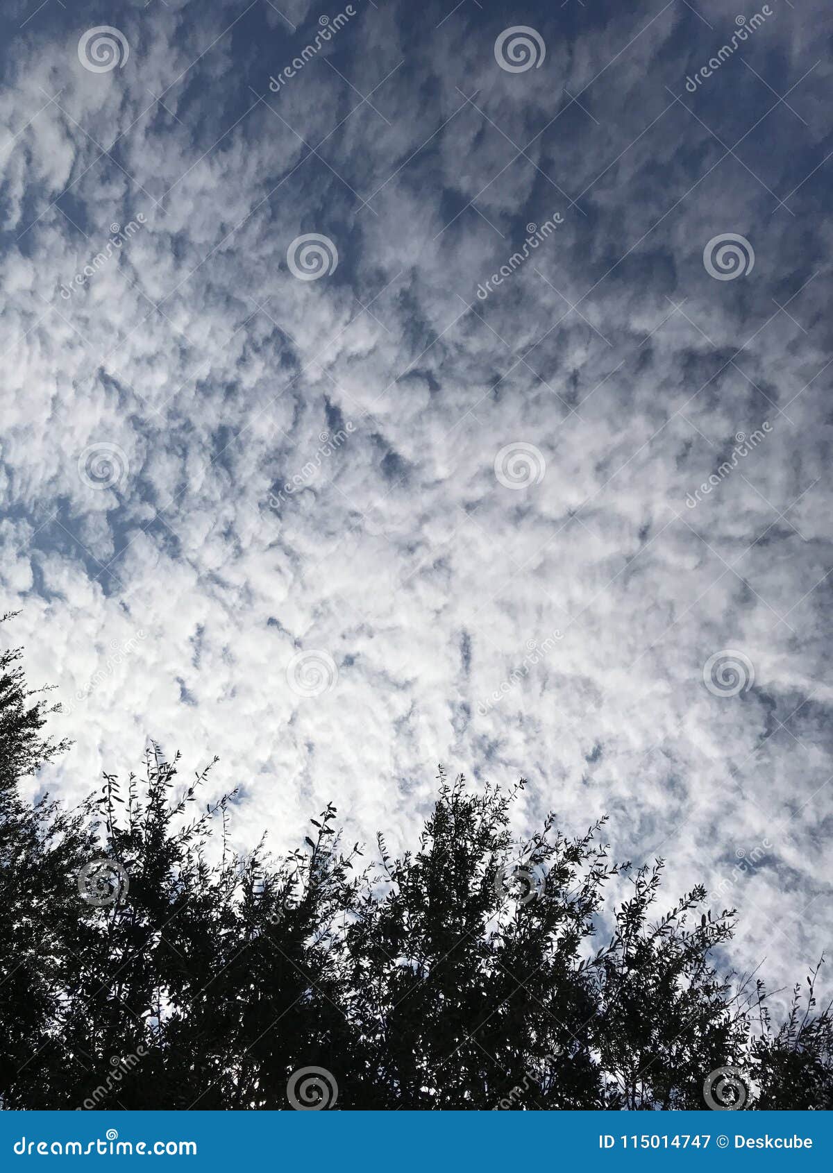Sky Background with Clouds and Brushes.Photo Image Stock Image - Image ...