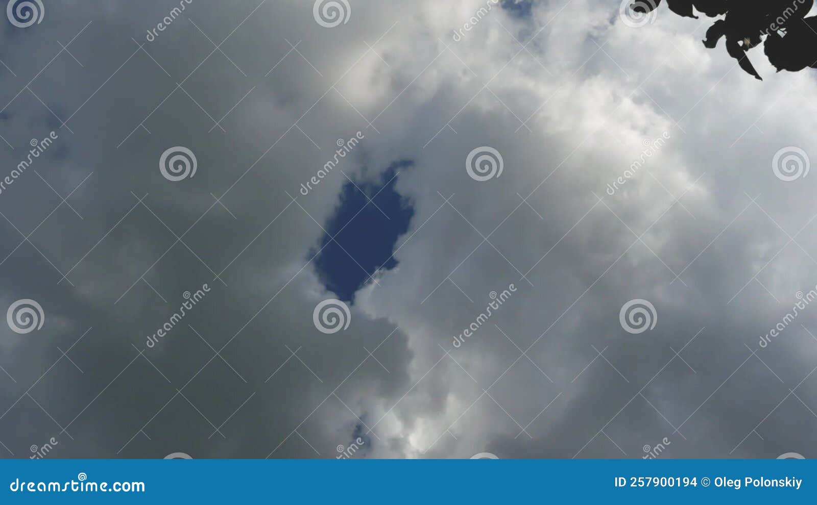 A View of the Cloudy Sky from Below. Stock Footage - Video of movement ...