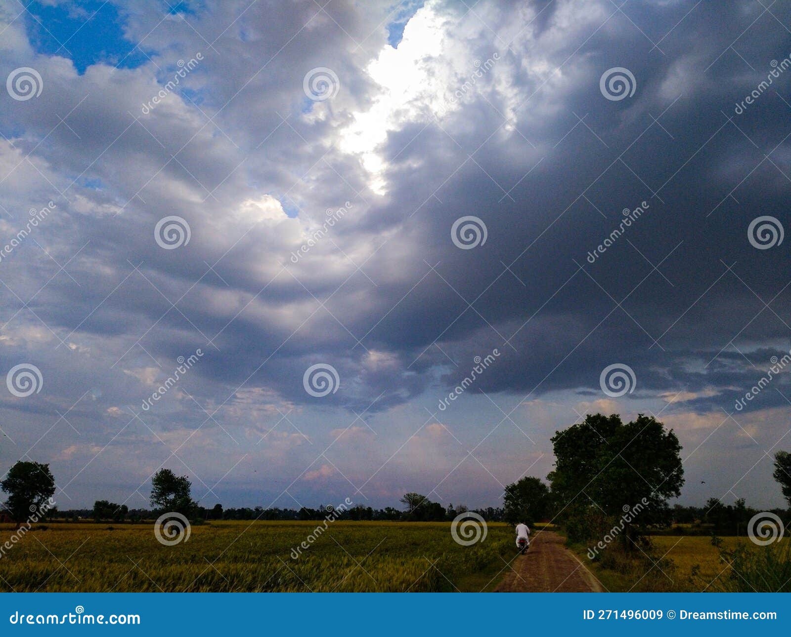 Clouds Gathering for Thunderstorm Stock Image - Image of nature, wheat ...