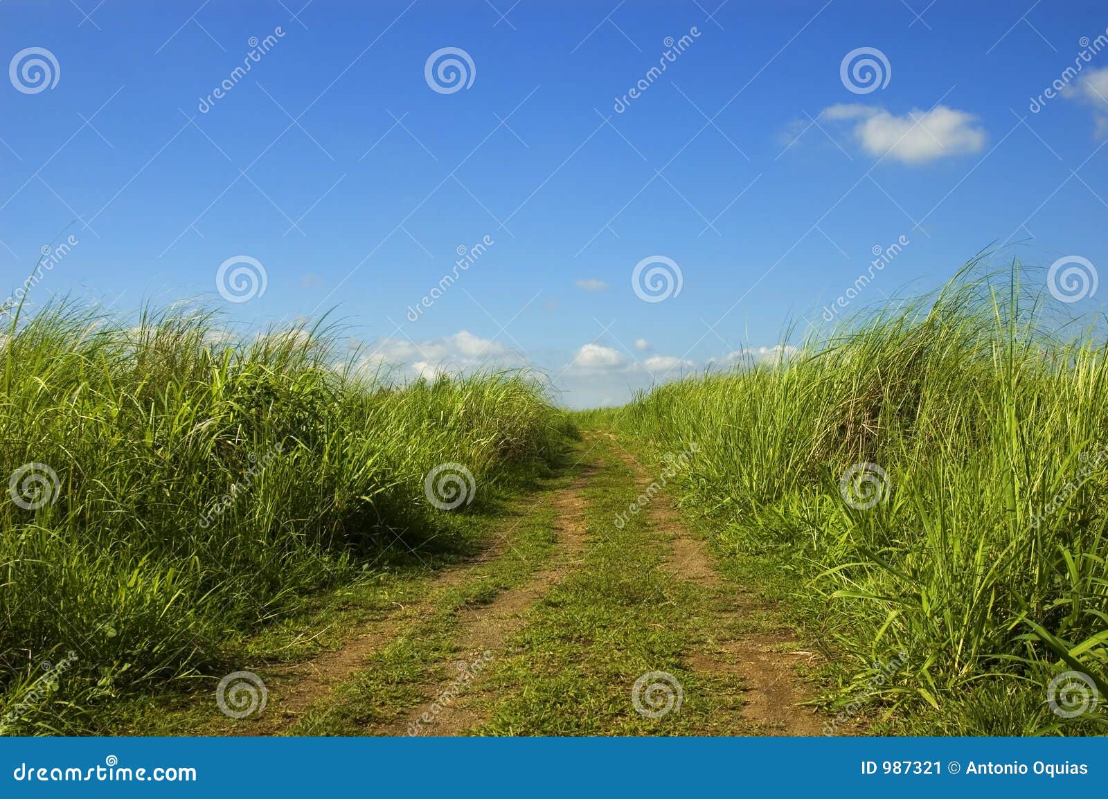 Clouds_Grass stock image. Image of nature, landscape, cloudscapes - 987321