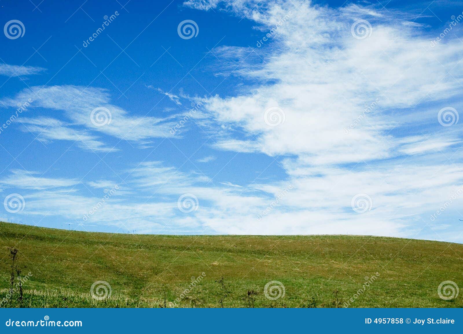 Clouds & Horizon stock photo. Image of grazing, nature - 4957858