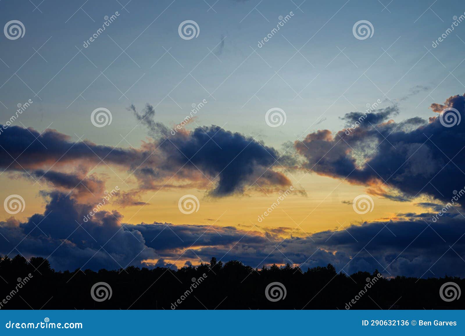 Sunset Colors Crown Forest Roof Stock Photo - Image of ecosystem ...