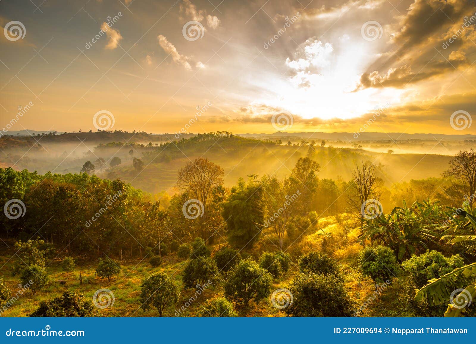 Amazing of light 3 stock photo. Image of field, orange - 227009694