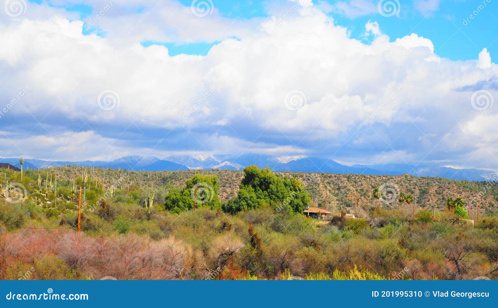 Clouds Over the Desert stock photo. Image of scene, clouds - 201995310
