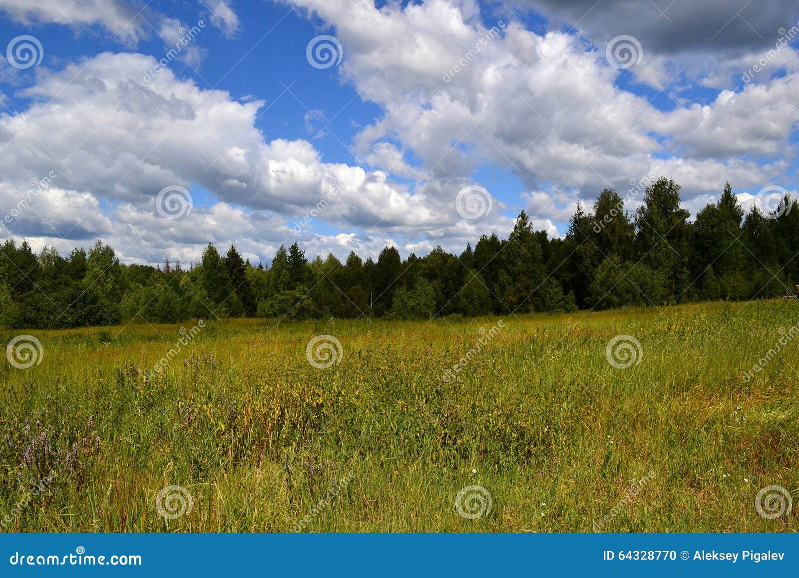Clouds Over the Edge of the Forest Stock Photo - Image of shadow, crown ...
