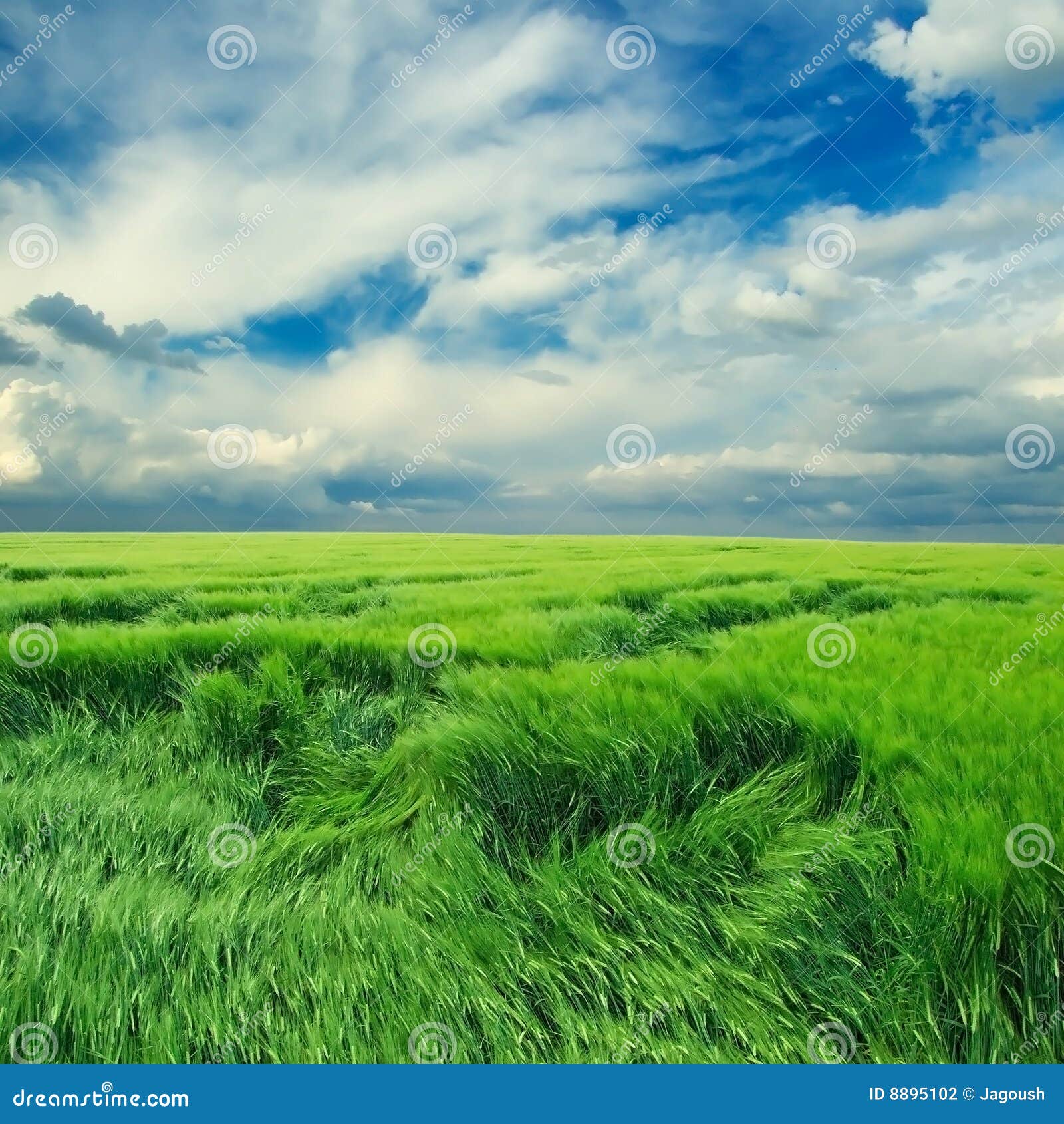 Clouds Over the Endless Field Stock Photo - Image of endless, clouds ...