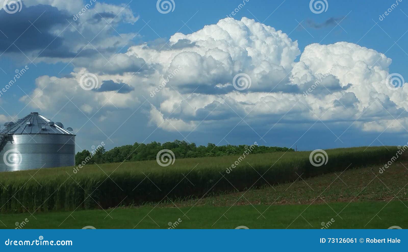 Clouds over a farm stock image. Image of field, corn - 73126061