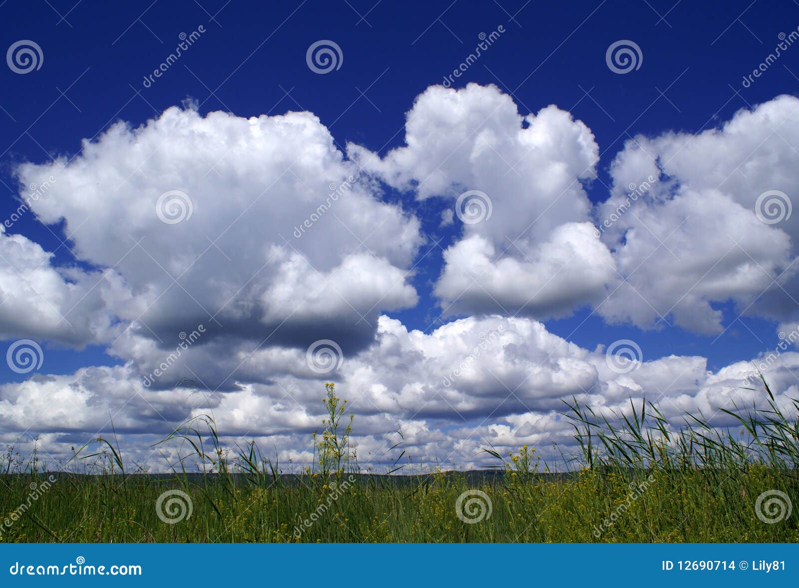 Clouds over a field stock photo. Image of clear, cloud - 12690714