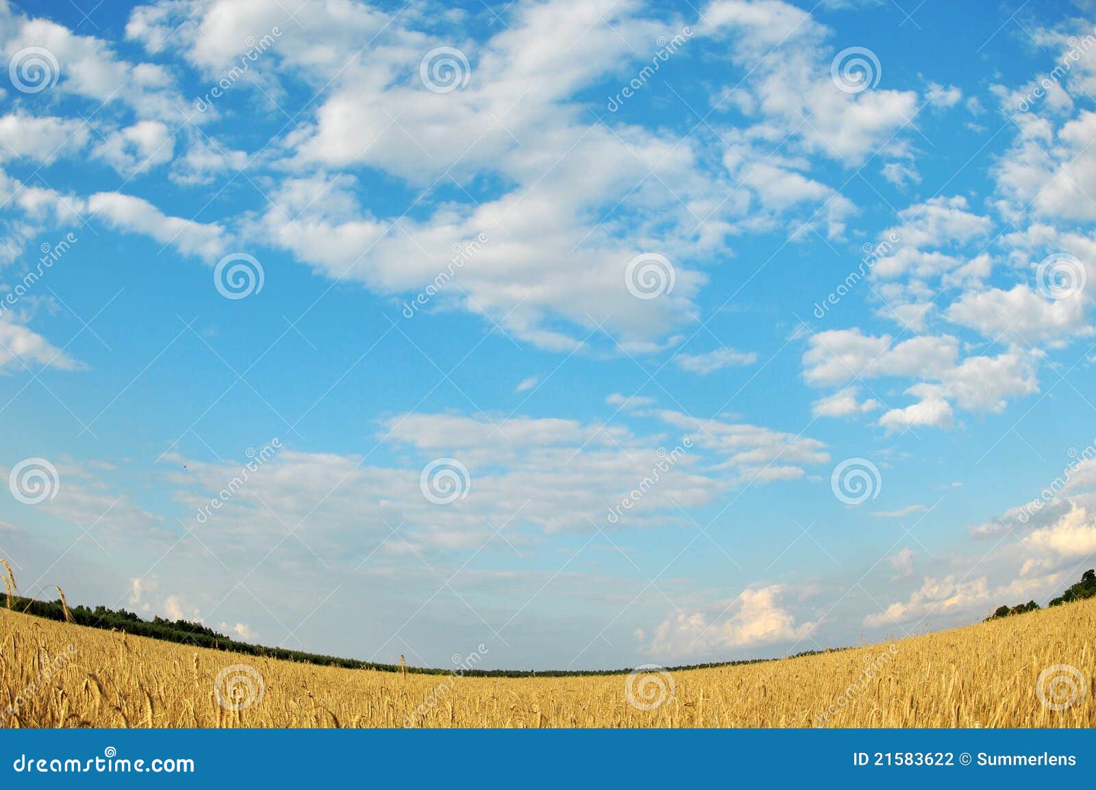 Clouds over the field stock photo. Image of corn, mowing - 21583622