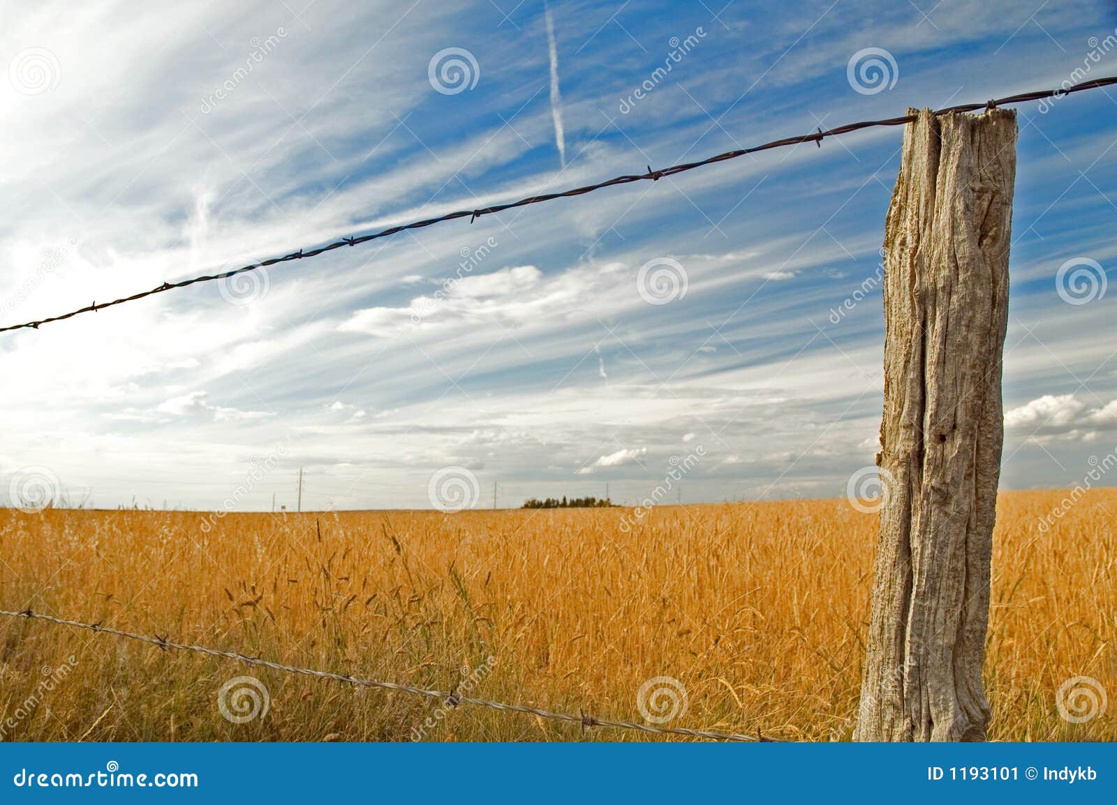 Clouds over field 4 stock image. Image of light, daylight - 1193101
