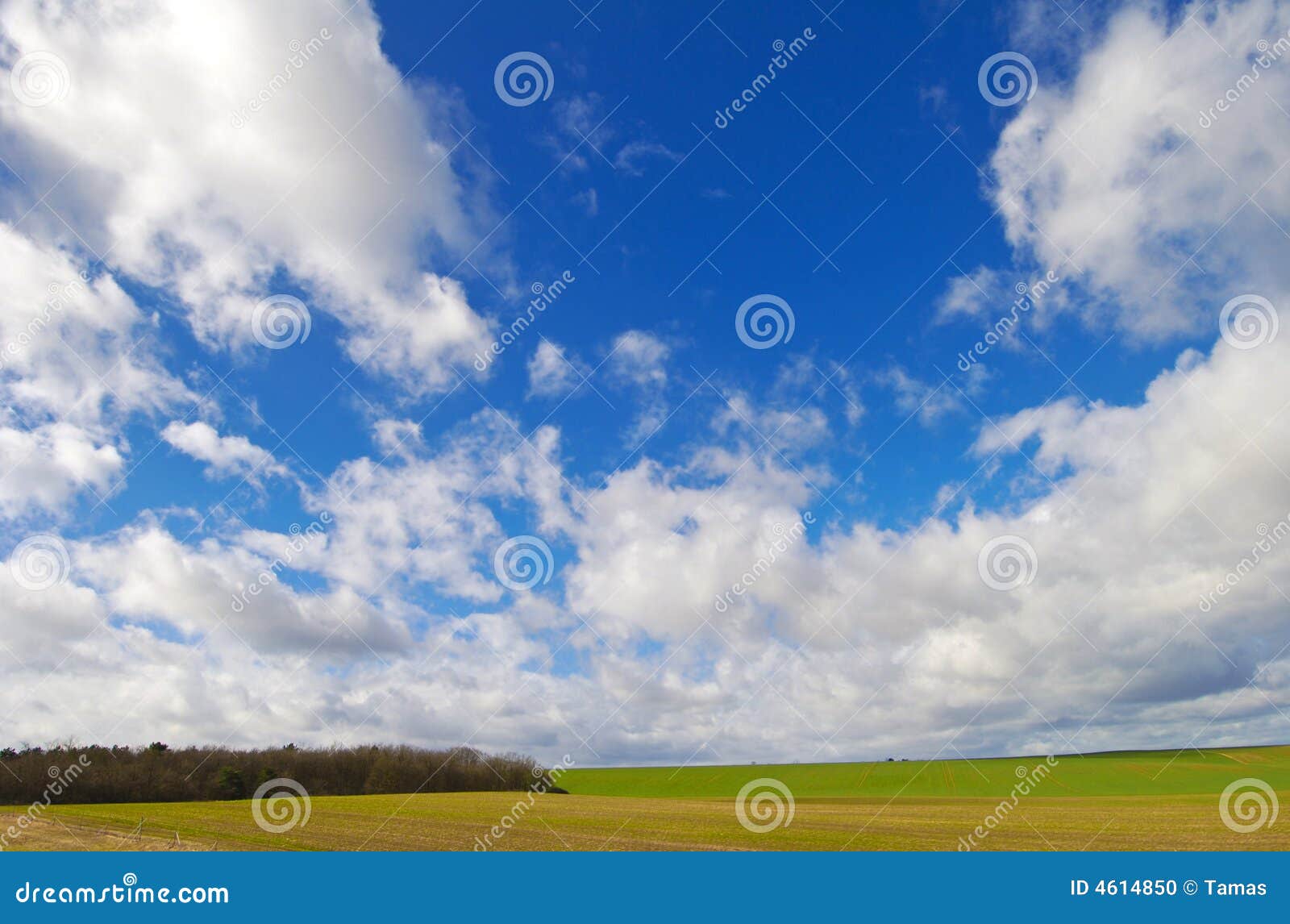 Clouds over field stock photo. Image of clouds, daylight - 4614850