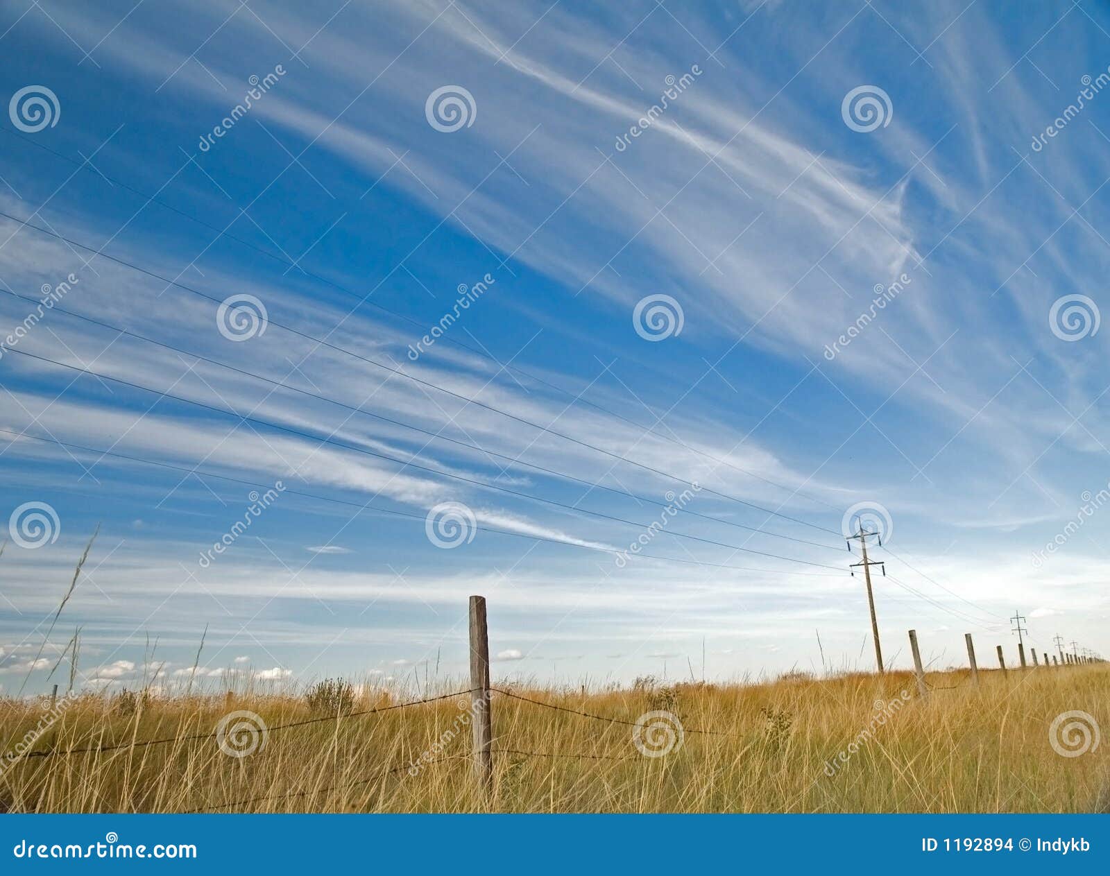 Clouds over field 6 stock photo. Image of grain, golden - 1192894