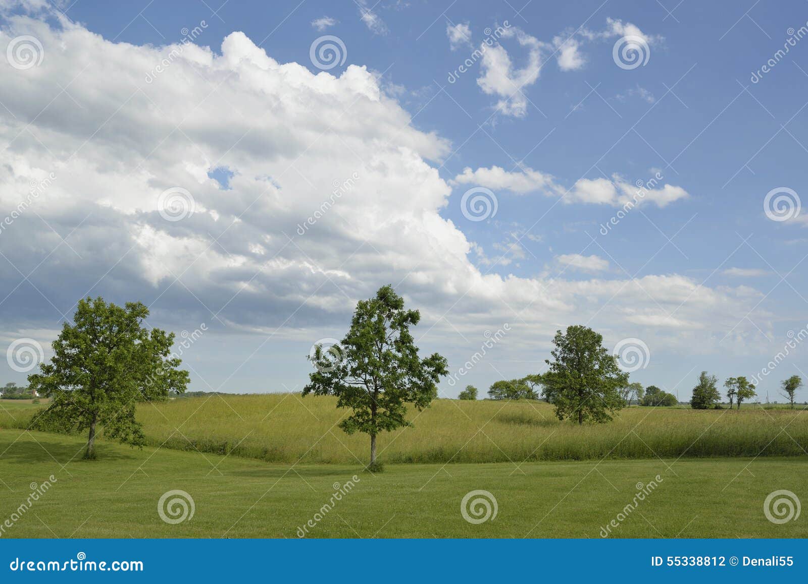 Clouds over field. stock photo. Image of clover, grass - 55338812