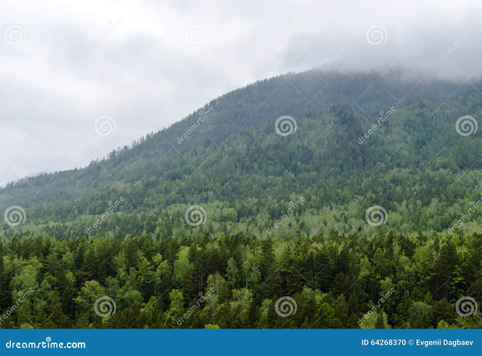 Clouds Over the Taiga in Siberia Stock Photo - Image of ridge ...