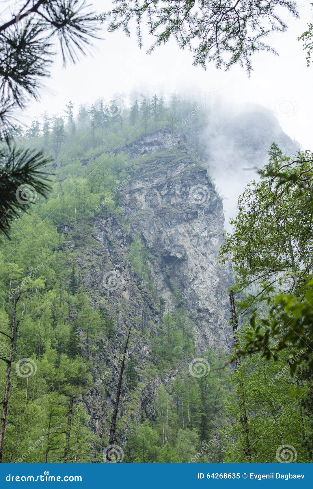 Clouds Over the Taiga in Siberia Stock Image - Image of rain, right ...