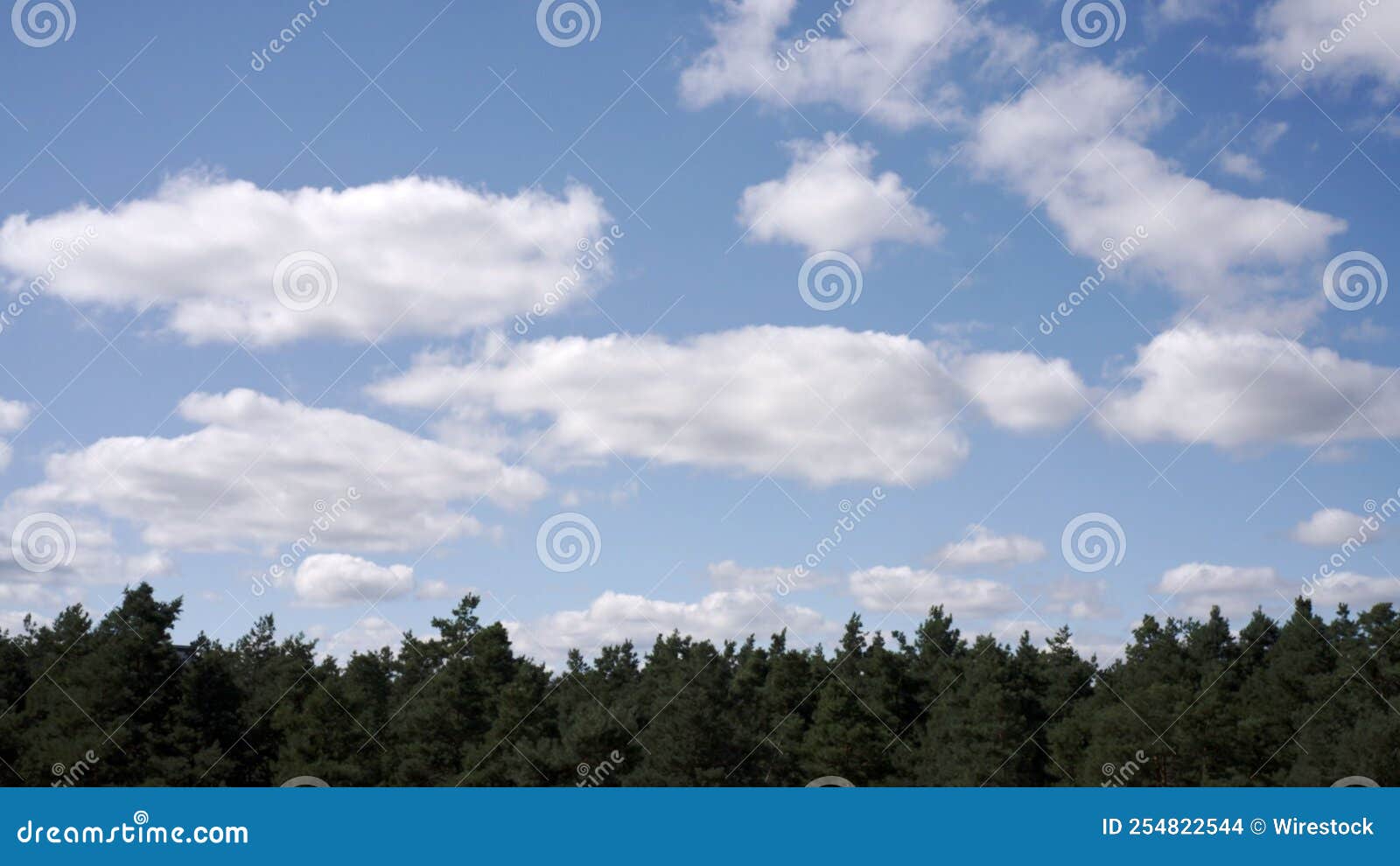 Clouds Overlooking a Beautiful Evergreen Forest. Stock Photo - Image of ...