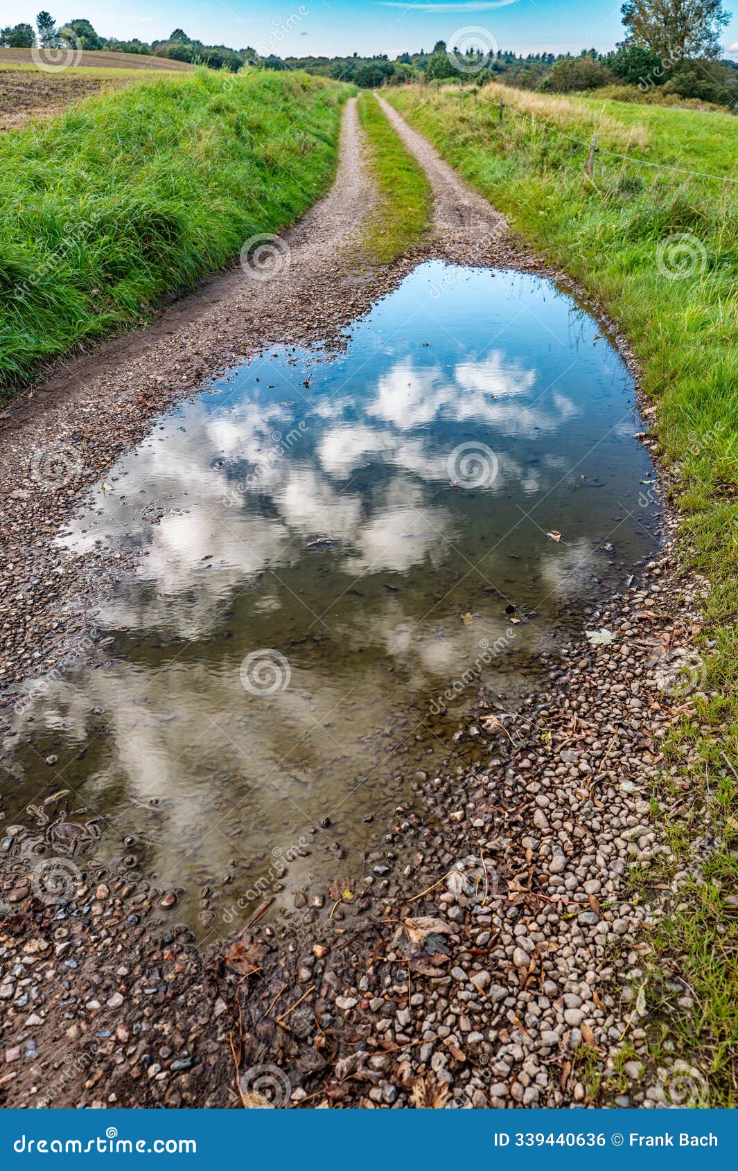 Clouds Reflecting in a Small Puddle Stock Photo - Image of landscape ...