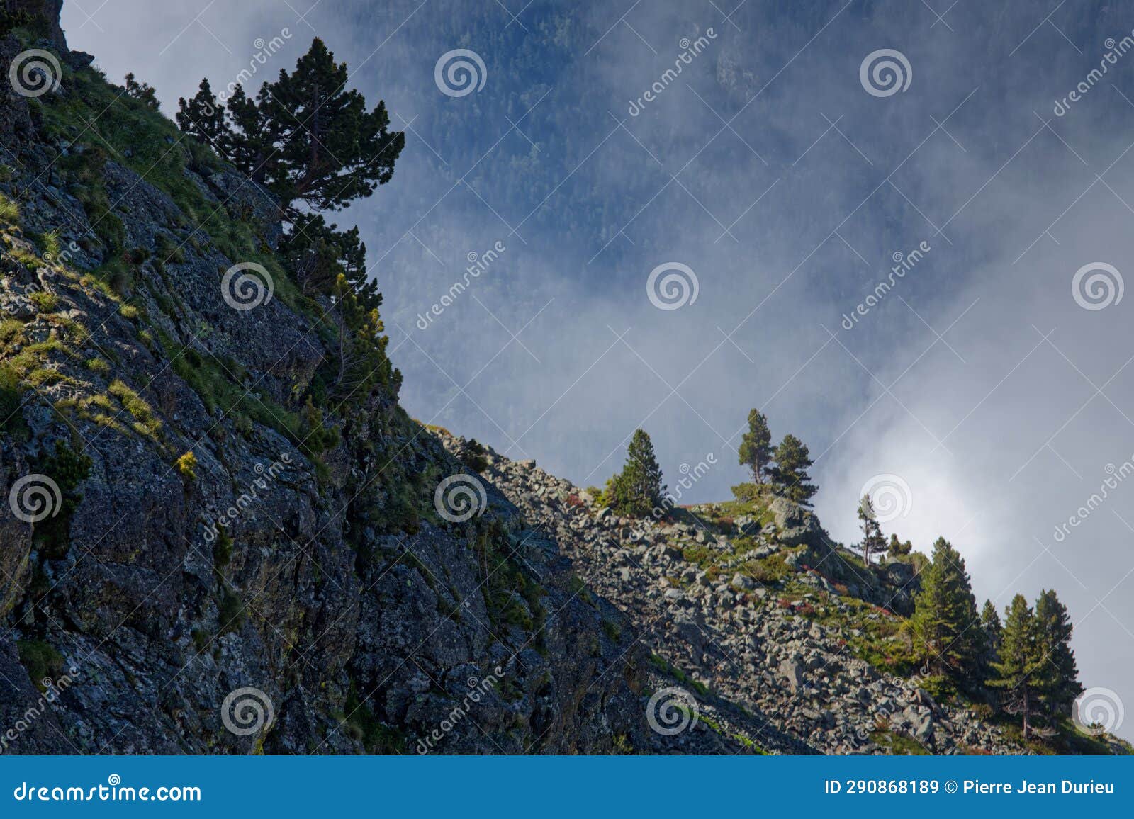 Clouds Rise from the Valley and Surround the Slopes and Trees Stock ...