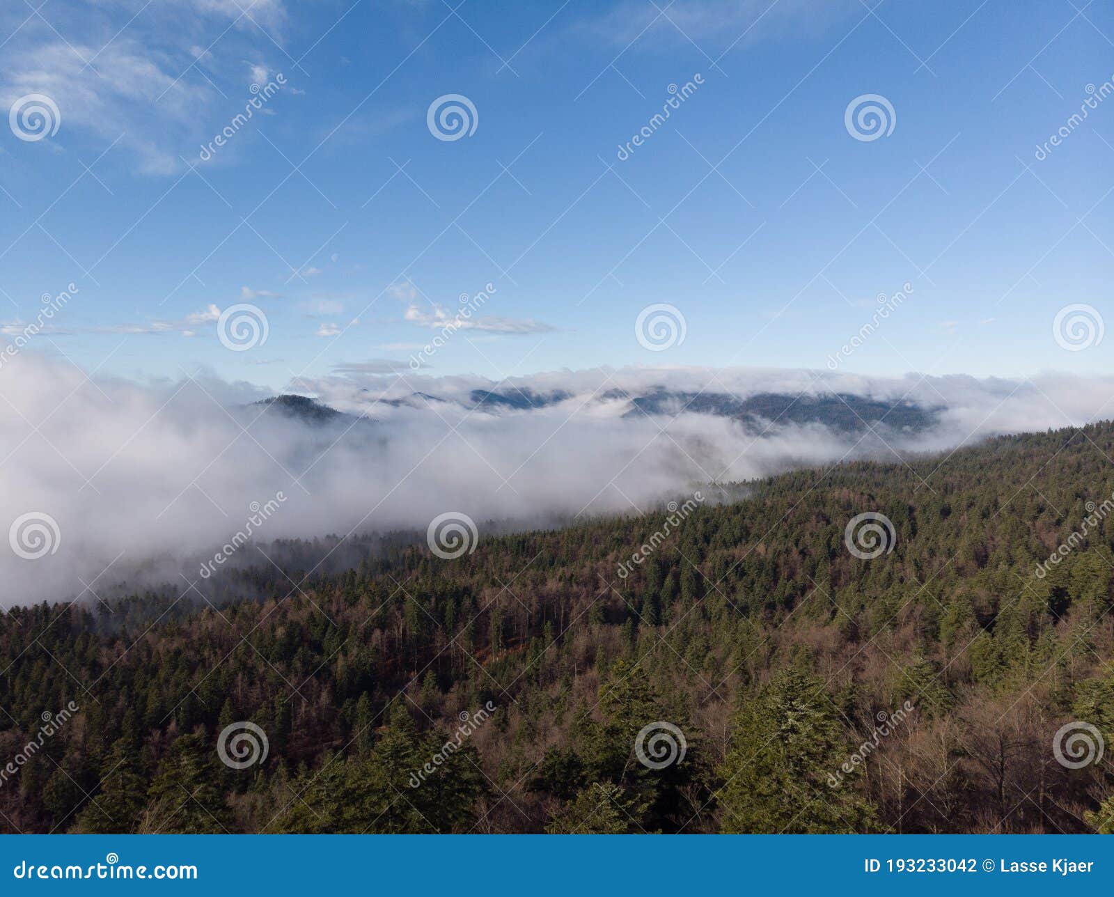 Clouds Rolling on the Forest Stock Photo - Image of rolling, branch ...