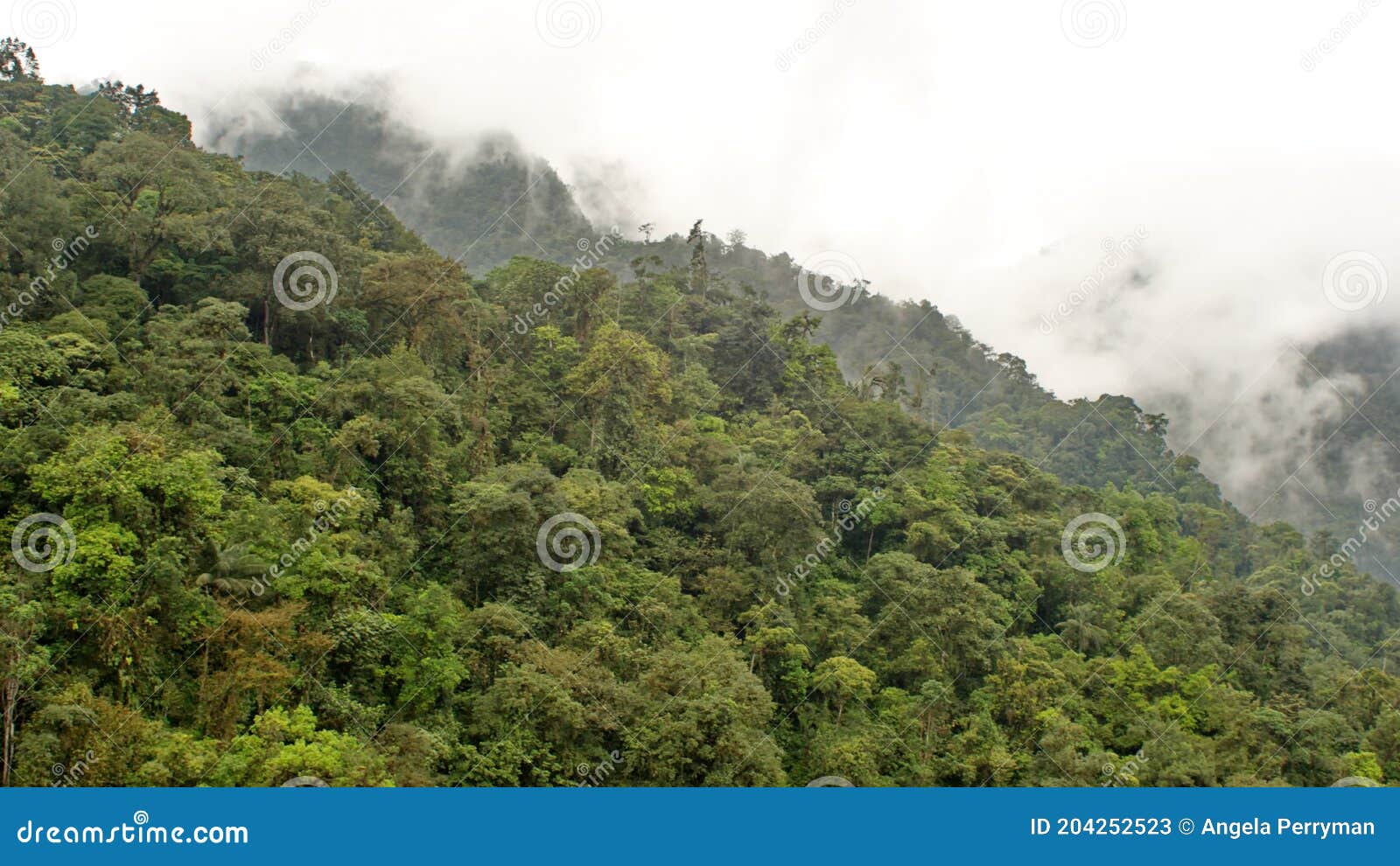 Clouds Rolling into the Mindo Valley Stock Image - Image of mindo ...