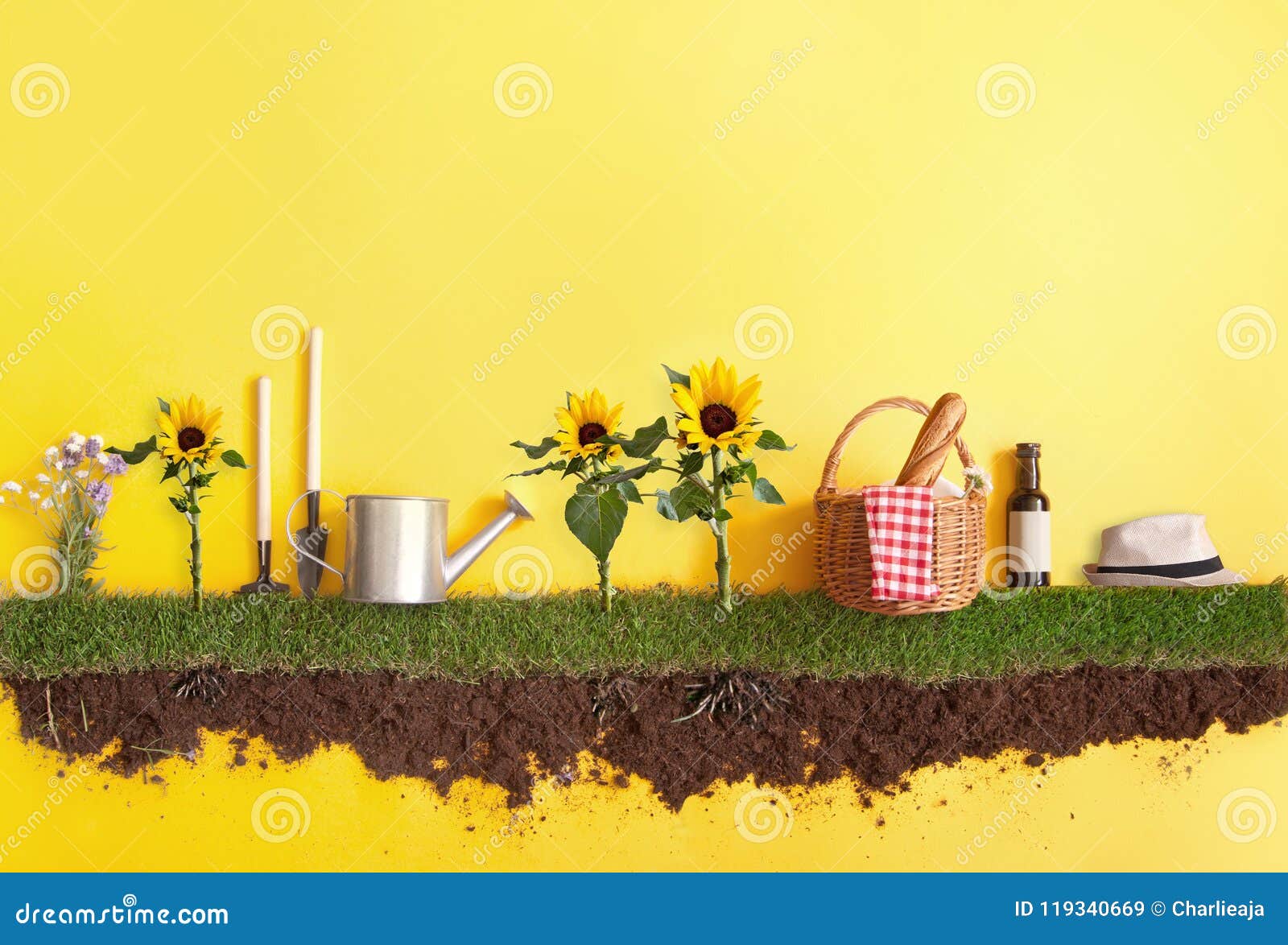 World Map Sunflowers Stock Photos - Free & Royalty-Free Stock Photos ...