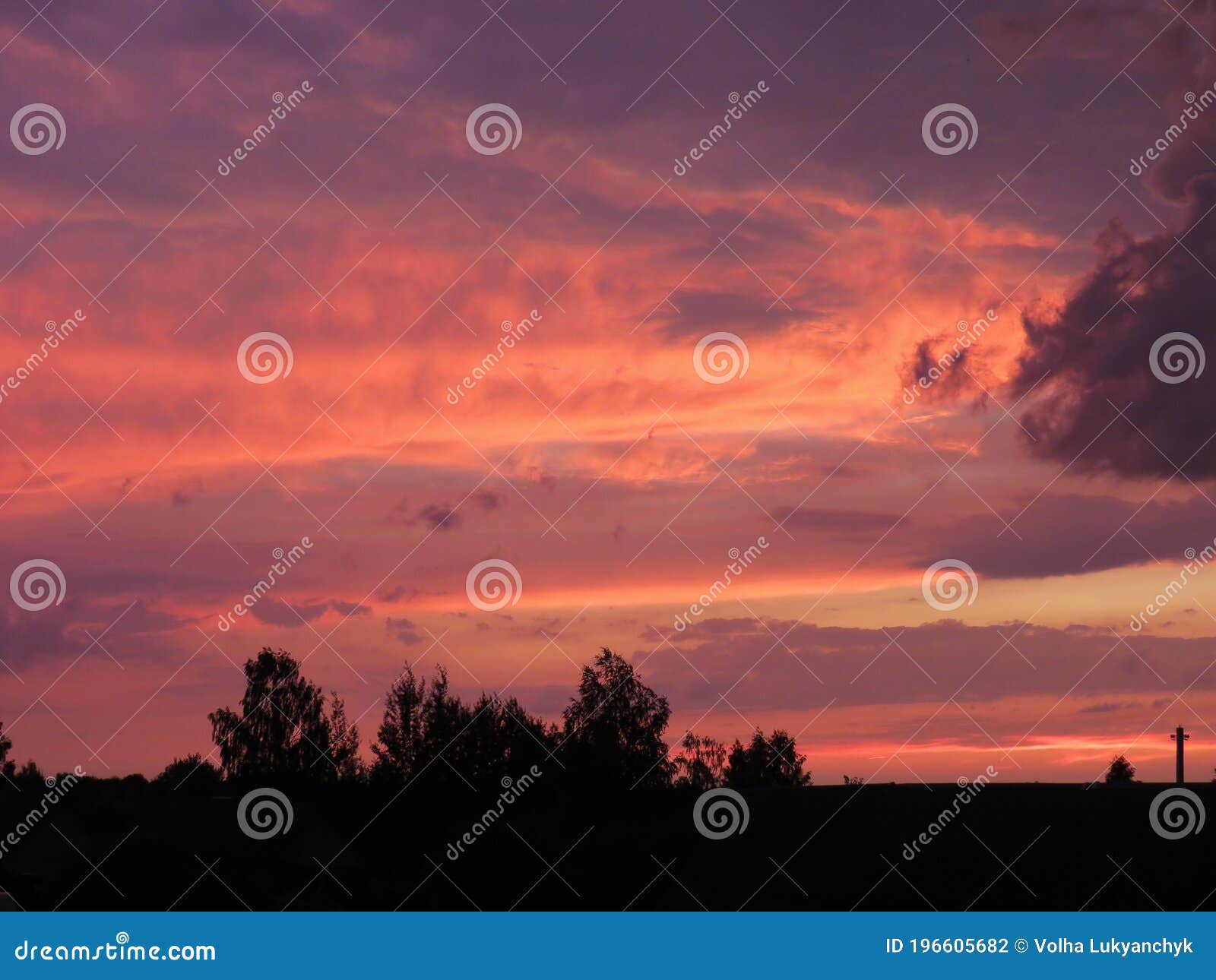 Pink sky over the field stock photo. Image of summer - 196605682