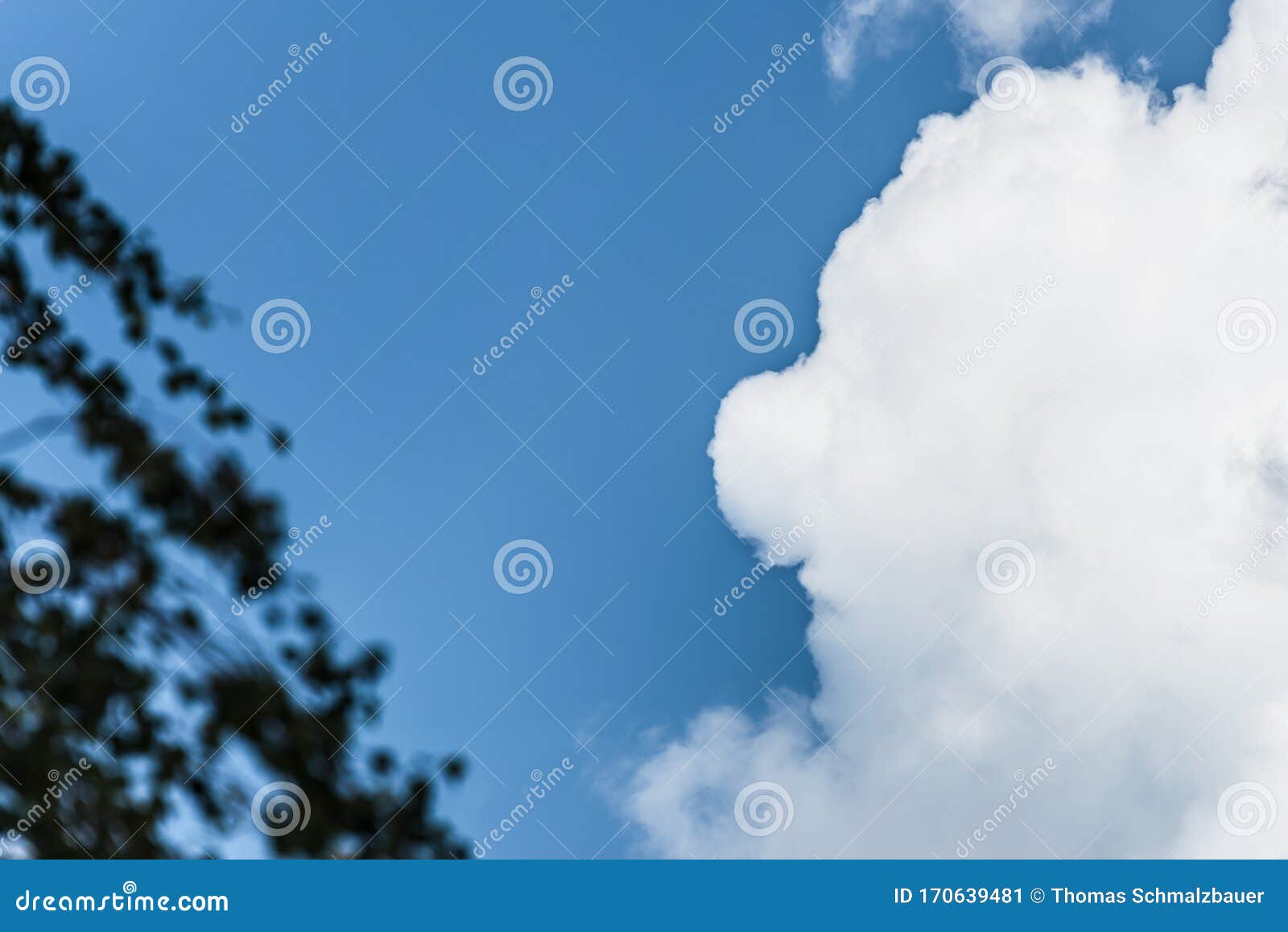 Clouds Look Like Things Stock Photos - Free & Royalty-Free Stock Photos ...