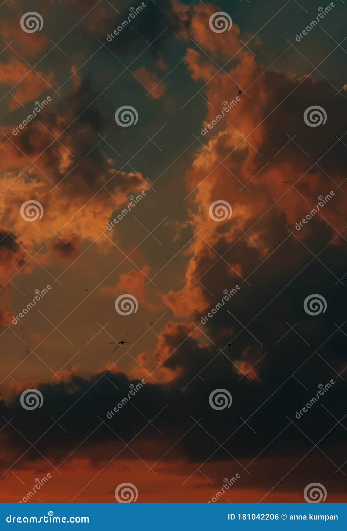 Clouds, Sky, Pink, Blue, Sunlight, Windy, Sun Stock Photo - Image of ...