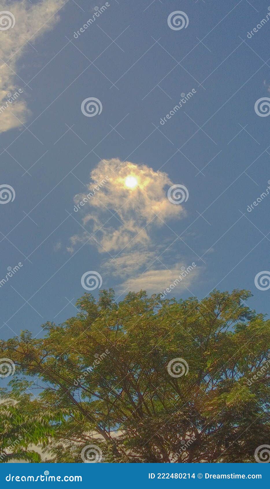 Clouds sky sun and trees stock photo. Image of nature - 222480214
