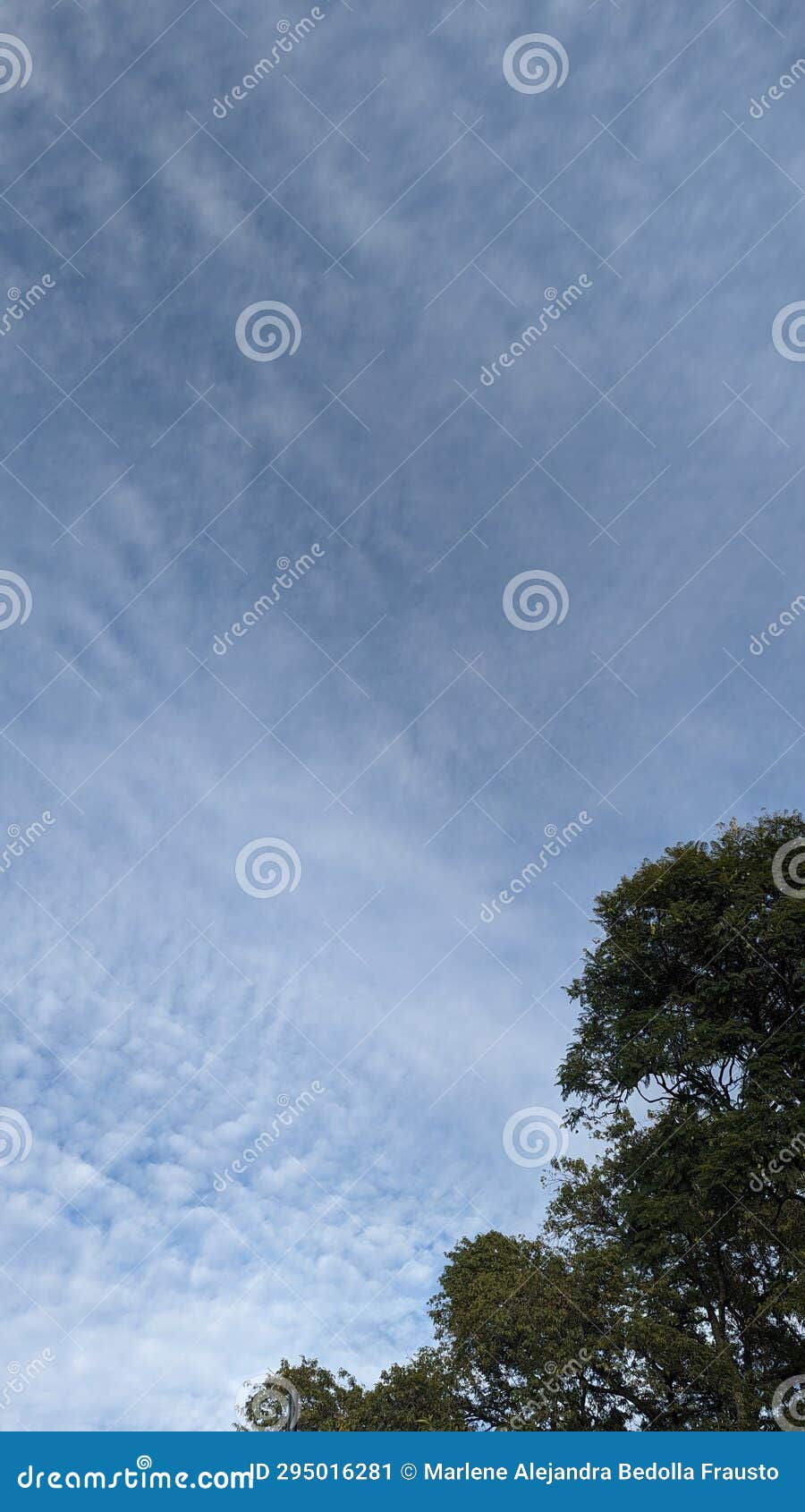 Clouds Sky with Tree Top at the Bottom Stock Image - Image of ...