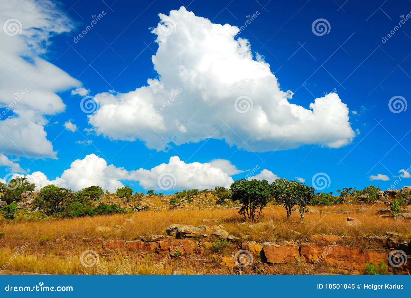 Clouds (South Africa) stock image. Image of rocky, trees - 10501045