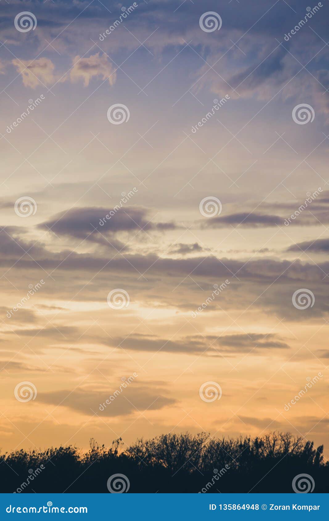 Clouds on Sunset Sky Over Trees Line Stock Photo - Image of morning ...