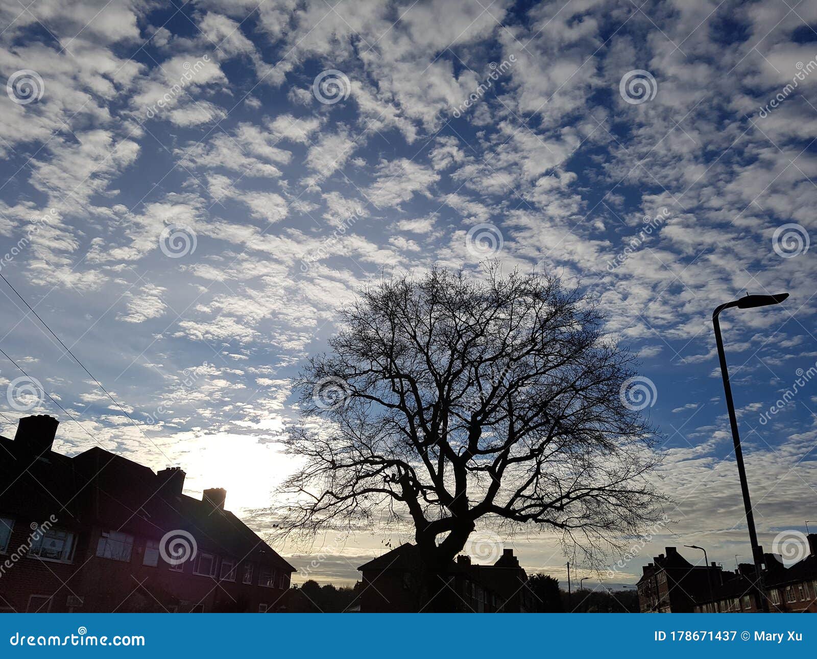 Clouds Trees and Sun in the Morning Stock Image - Image of nature ...