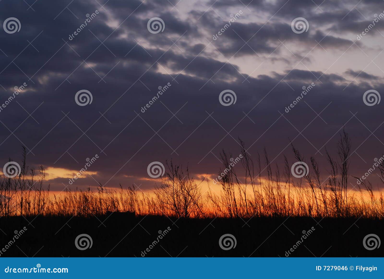 Clouds, Weeds, and Sunset stock photo. Image of dusk, orange - 7279046