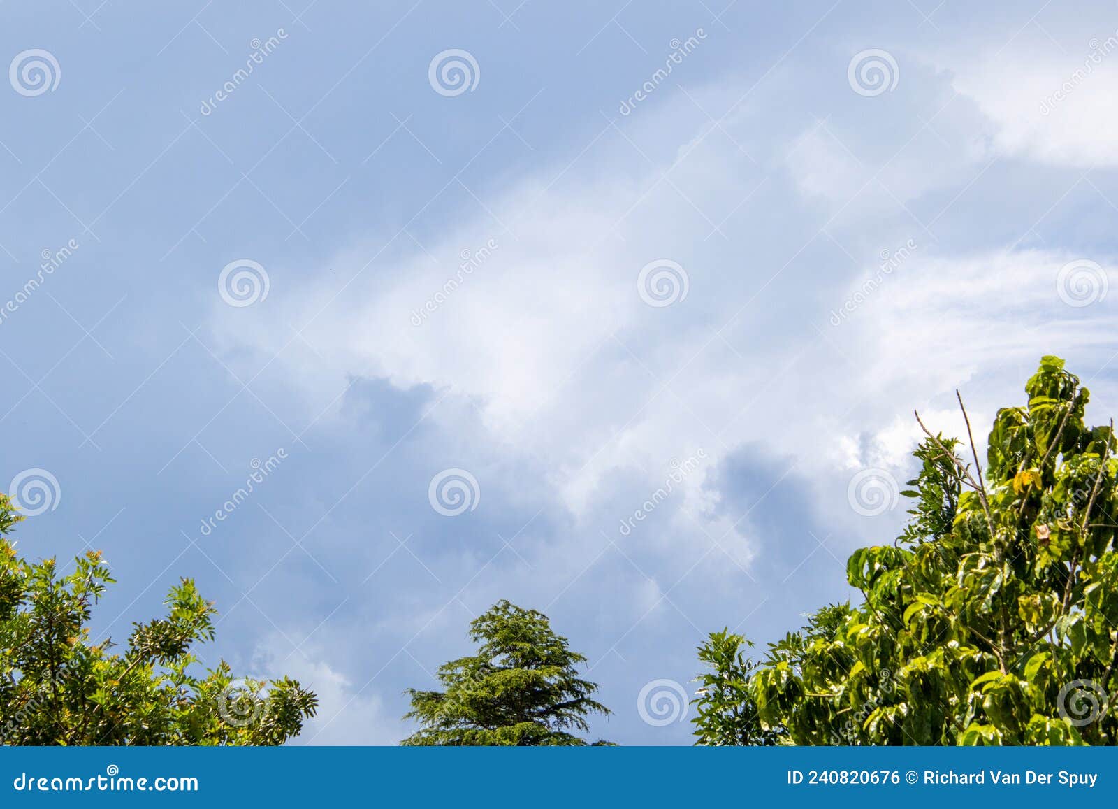 Cloudscape - Blue Sky and Shapes in the Clouds Stock Photo - Image of ...
